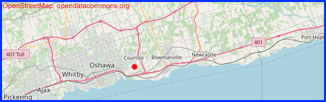 THE AUCTION ADVERTISER