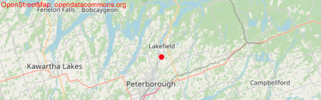 THE AUCTION ADVERTISER