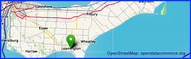 THE AUCTION ADVERTISER