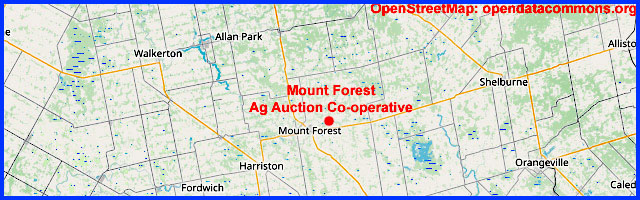 THE AUCTION ADVERTISER