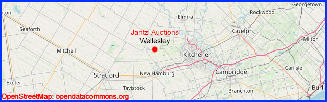 THE AUCTION ADVERTISER